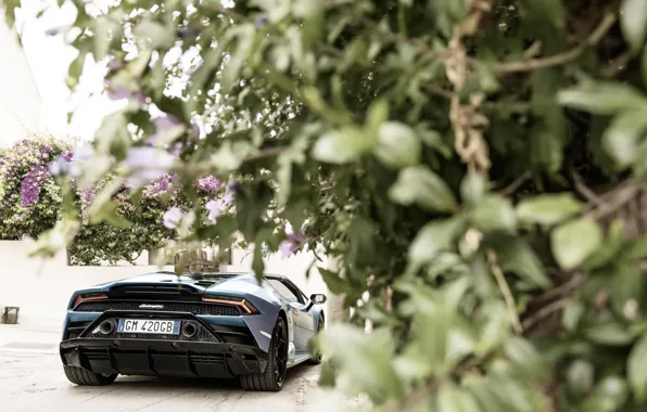 Wallpaper Lamborghini, Huracan, rear view, Lamborghini Huracan EVO ...