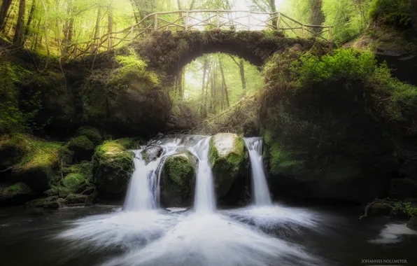 Wallpaper forest, nature, river, stream, spring, the bridge, threads ...