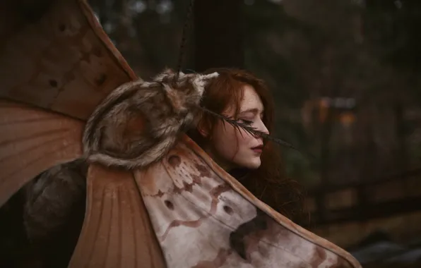 Wallpaper girl, Words and moths, a giant moth, Aleah Michele for mobile ...