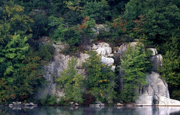 Wallpaper Water, Rocks, Trees for mobile and desktop, section природа ...