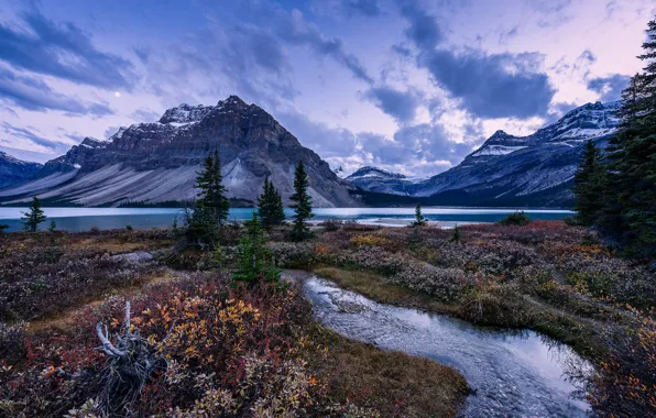Wallpaper grass, trees, mountains, lake, stream, the evening, Banff ...