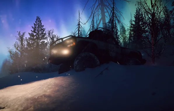 Wallpaper HDR, Wood, Winter, Lights, Snow, Game, Ice, Trees for mobile ...