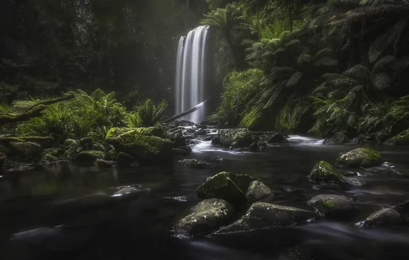 Download wallpaper forest, river, stones, rocks, waterfall, jungle ...