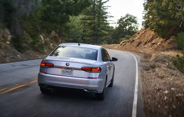 Wallpaper road, Volkswagen, sedan, rear view, Passat, 2020, 2019, US ...