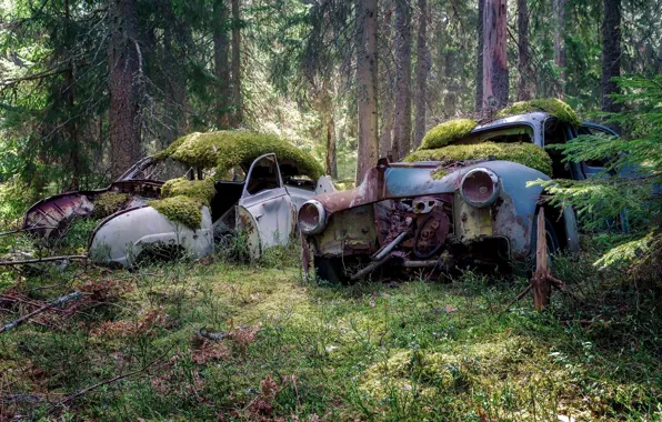 Wallpaper machine, forest, scrap for mobile and desktop, section другие ...