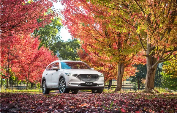 Wallpaper machine, autumn, Mazda, white color for mobile and desktop ...