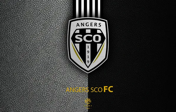 Download wallpaper wallpaper, sport, logo, football, Ligue 1, Angers ...
