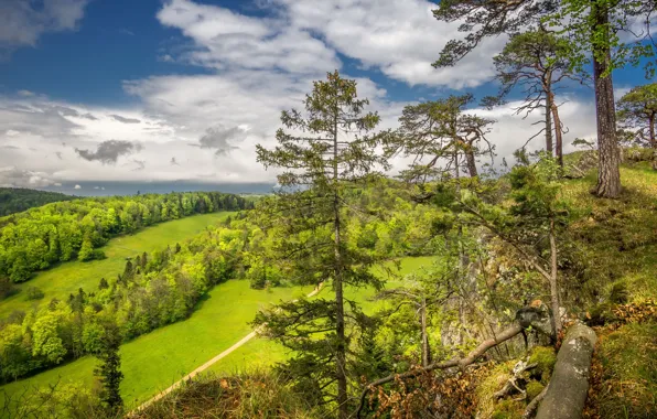 Wallpaper summer, nature, mountain for mobile and desktop, section ...