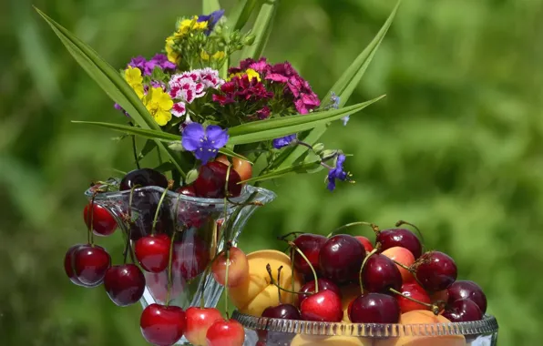 Wallpaper background, still life, cherry for mobile and desktop ...