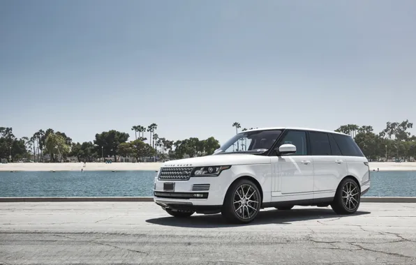 Download wallpaper white, wheels, niche, RANGE ROVER, section land ...