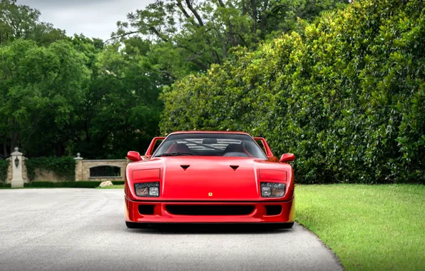 Download wallpaper F40, Trees, Front view, section ferrari in ...