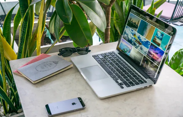 Wallpaper table, plants, glasses, laptop, notebook, bokeh, smartphone for mobile and desktop ...