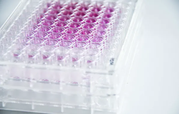 Wallpaper glass, violet, science, laboratory, flasks, samples for ...