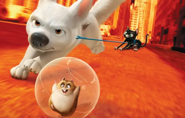 Dog Animation Movie