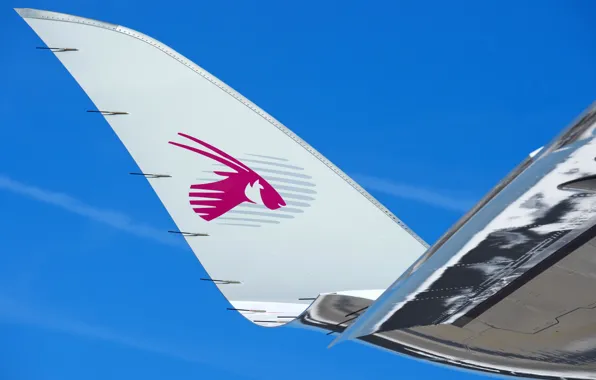 Wallpaper The plane, Liner, Airbus, Qatar Airways, Airbus A350-900, A ...