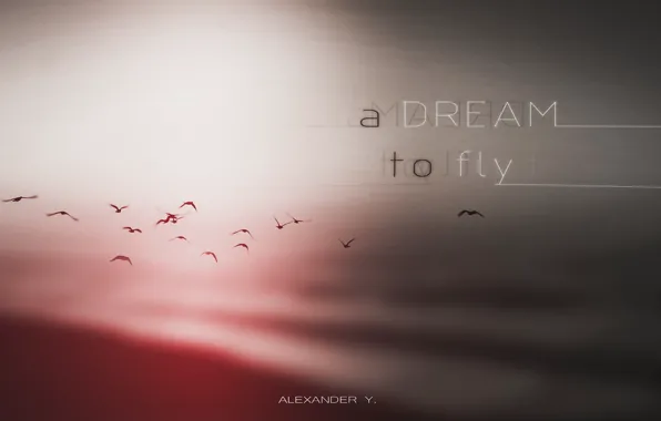 Wallpaper dream, minimal, fly, alexander y for mobile and desktop ...