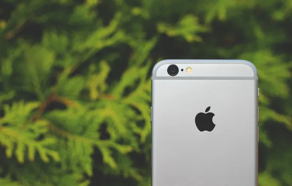 Wallpaper Apple, Phone, Hi-Tech, Iphone, Phone, "Innovation" for mobile ...