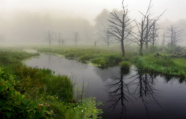 Wallpaper summer, fog, river for mobile and desktop, section природа ...