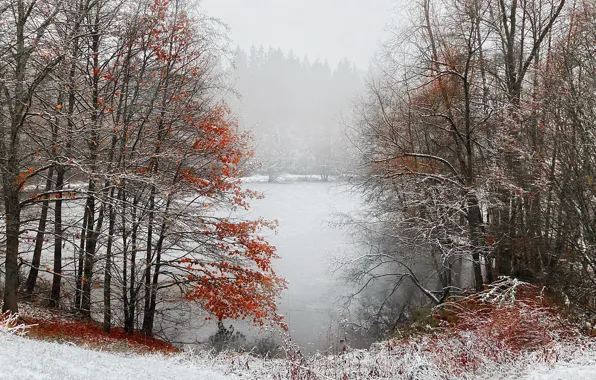 Download wallpaper winter, nature, fog, lake, section nature in ...