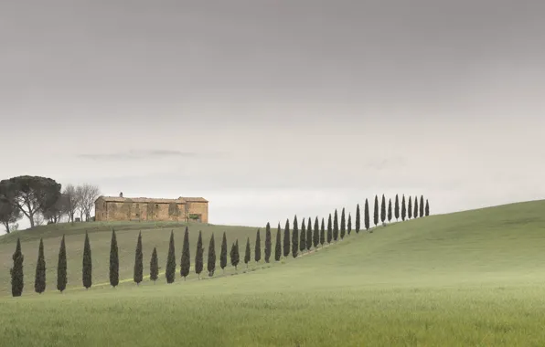 Gladiator Wallpaper Field