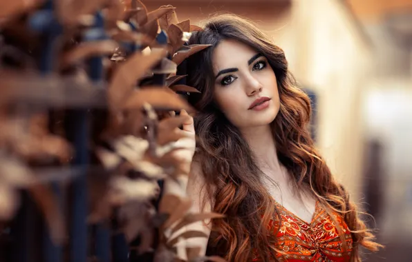 Wallpaper Look Leaves Pose Model The Fence Portrait Makeup