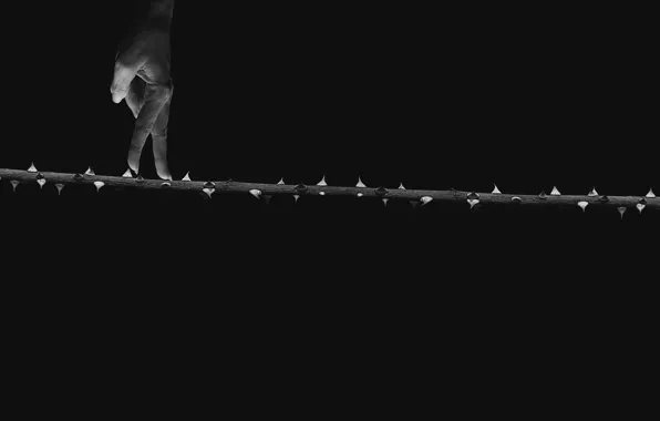 Download wallpaper background, hand, spikes, section miscellanea in ...