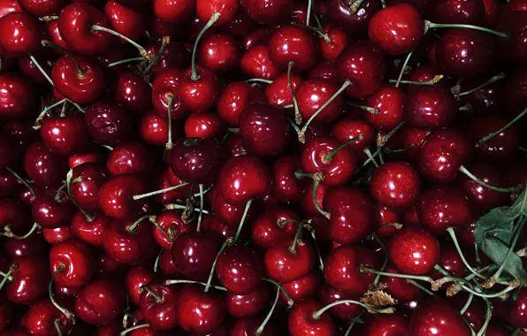 Wallpaper cherry, berries, Shine, placer, a lot, cherry for mobile and ...
