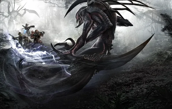 Wallpaper ufo, gun, forest, monster, trees, weapon, hat, jungle for ...
