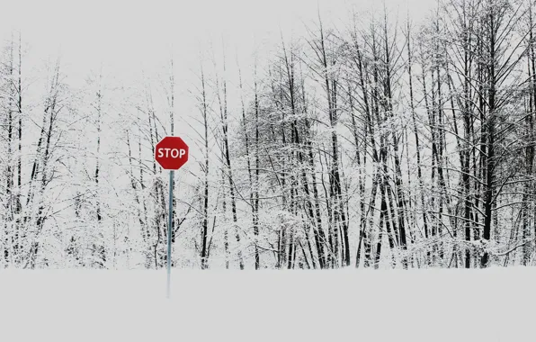 Wallpaper winter, snow, stop for mobile and desktop, section природа ...
