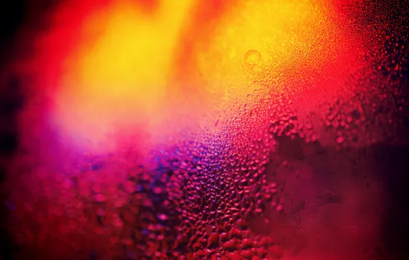 Wallpaper macro, background, color for mobile and desktop, section ...