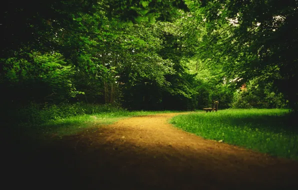 Download wallpaper Park, alley, path, bench, section nature in ...