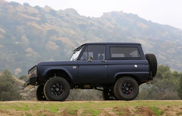 Wallpaper Ford, 2012, side view, Bronco, ICON BR for mobile and desktop ...