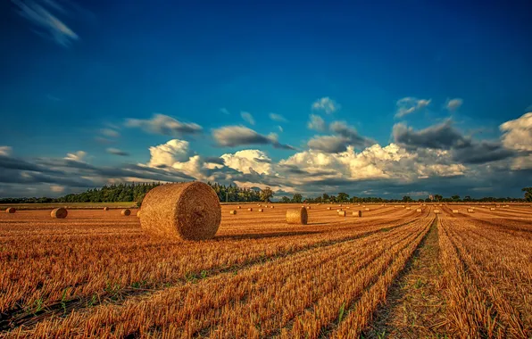Wallpaper field, clouds, blue, hay, bales, straw, bales for mobile and ...