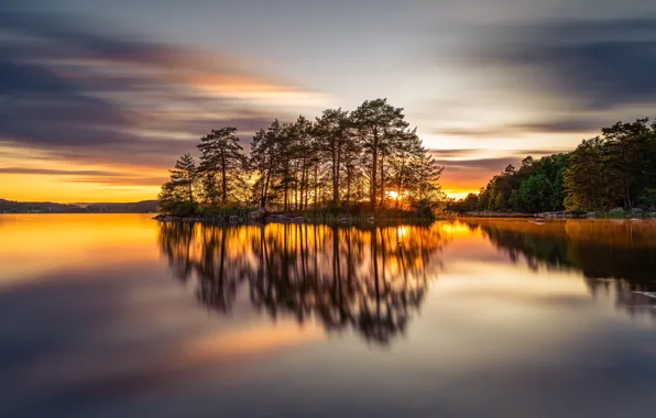 Download wallpaper trees, sunset, reflection, shore, pine, pond ...