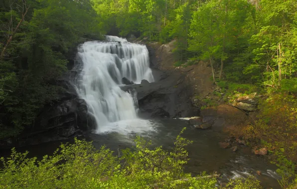 Wallpaper greens, forest, trees, stones, rocks, waterfall, USA ...