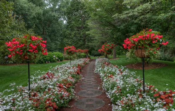 Download wallpaper landscape, nature, Park, beauty, section landscapes ...