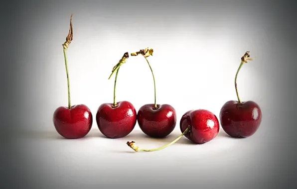 Wallpaper cherry, berries, Cherry Ripe images for desktop, section еда ...