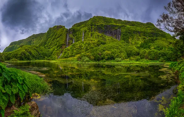 Wallpaper Portugal, Azores, Flores, Azores, Florish for mobile and ...