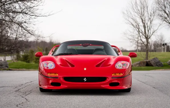 Download wallpaper Red, F50, Front view, section ferrari in resolution ...