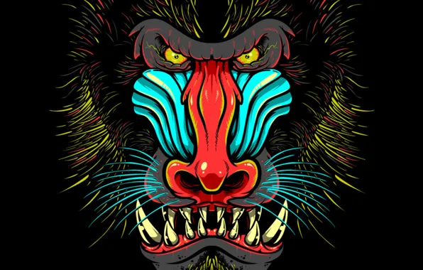 Wallpaper face, rage, chuck images for desktop, section минимализм ...