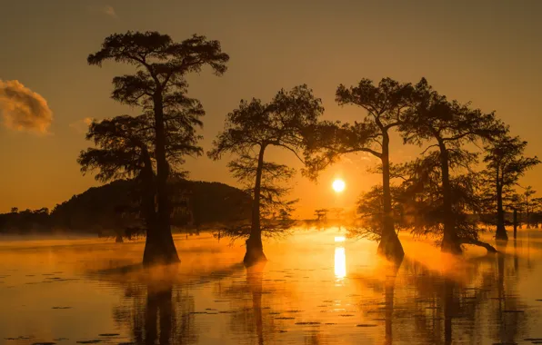Wallpaper the sky, the sun, trees, sunset, reflection, pine, pond for ...