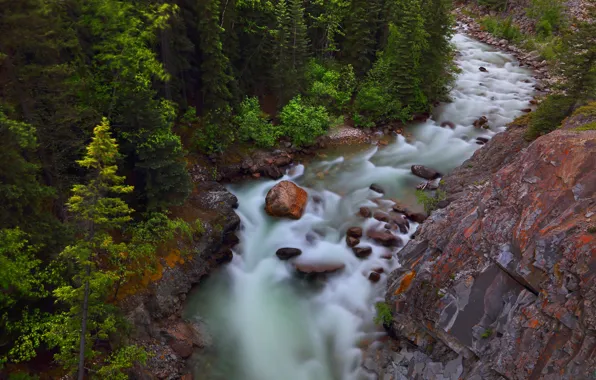 Wallpaper forest, trees, rock, river, stones, Canada, Albert, Alberta ...