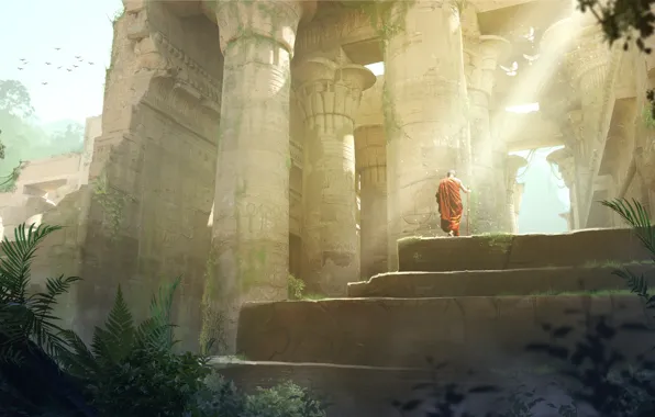 Wallpaper birds, monk, temple, staff, Munk for mobile and desktop ...