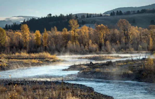 Wallpaper autumn, nature, river for mobile and desktop, section природа ...