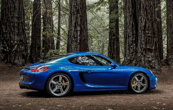 Wallpaper Porsche, Cayman, Porsche, GTS, 2014, Caiman for mobile and ...