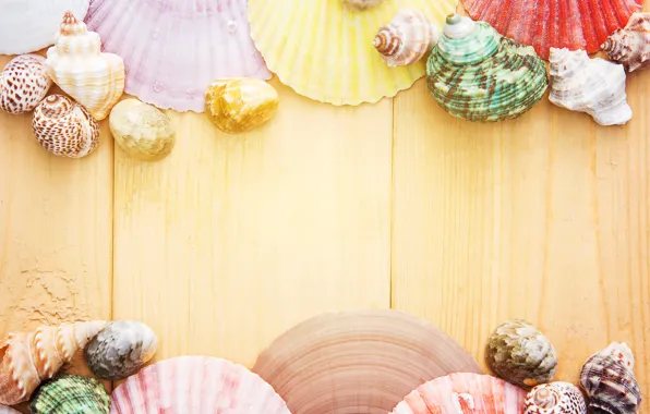 Wallpaper sea, background, shell, bokeh for mobile and desktop, section ...