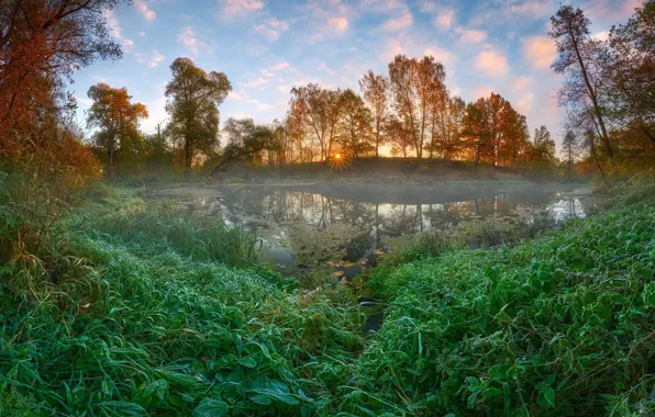 Wallpaper autumn, forest, nature, lake for mobile and desktop, section ...