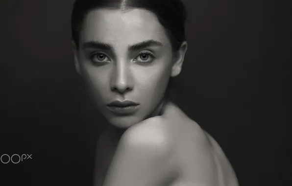 Wallpaper look, girl, model, black and white, Ali Arabzadeh, Darkness ...