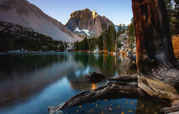 Wallpaper water, trees, mountains, lake, USA, Sierra Nevada, the beauty ...