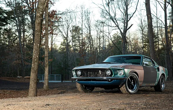 Download wallpaper Boss 302, Ford Mustang, Coupe, Muscle car, Rat Rod ...